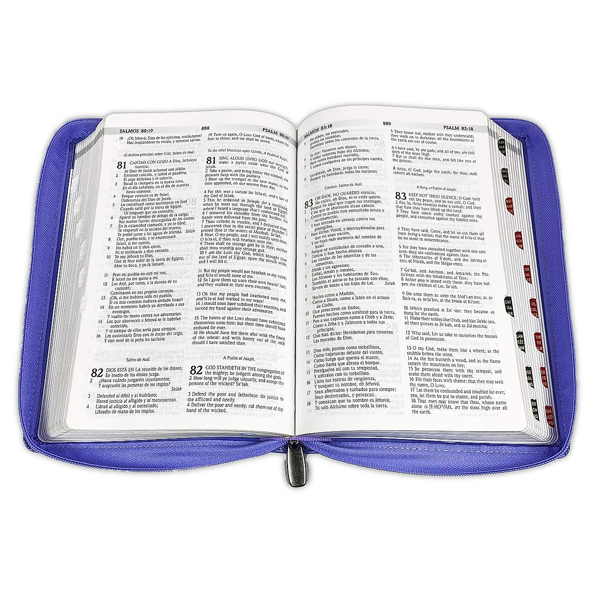 Biblia Bilingue Reina Valera 1960 King James Version KJV Imitacion Piel Morado Con Indice Zipper