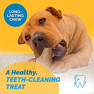 123 Treats Marrow Bones for Dogs - 5-6 inches (6 Count) Natural Beef Dog Treats, Easily Digestible Bone Marrow Dog Treats for Healthy Snacking, Long-Lasting Bones for Dogs