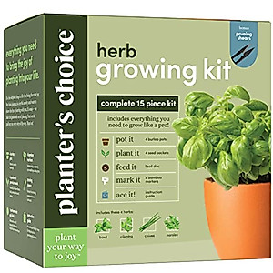 Indoor Herb Garden Starter Kit - Cooking Gifts for Women Gardener - Creative Kitchen Gift for Plant Lovers - Home Herb Growing, Gardening Seeds + Step by Step Guide - Vegan Gift Ideas for Lover