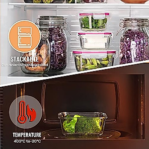 FILTA 4 Pack Glass Food Storage Containers with Lids: Glass Meal Prep Containers For Lunch,Leftover,Dishwasher Safe
