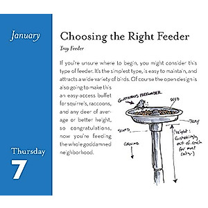 Dumb Birds of North America 2021 Daily Calendar: (One Page a Day Calendar of Funny Bird Facts, Humor Daily Calendar about Birds with Bird Artwork)