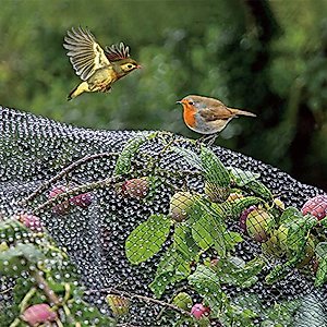 VIVOSUN Garden Netting, 7.5' x 65' Reusable Protection Net Mesh, Black Heavy Duty Trellis Netting, Garden Block Netting for Plants, Fruit Trees, Vegetables and Other Animals