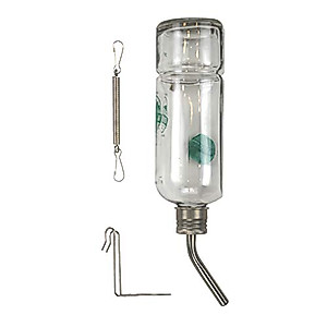 Oxbow Enriched Life Chew Proof Glass Water Bottle, 8oz / 237ml