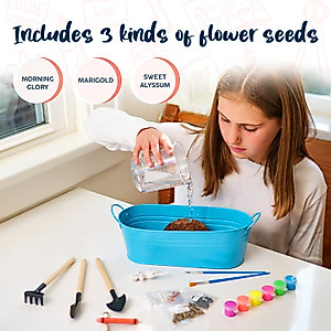 Bryte Fairy Garden & Flower Growing Kit | Grow Your Own Magical Fairy Garden & Play | Everything Included - Tin Planter, Figurines, Seeds, Soil, Tools & More | STEM Projects, Crafts & Gifts | Ages 4+