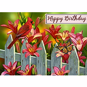 Crown Point Graphics Shared Blessings Birthday Birds 12 Boxed Birthday Cards, Beautiful Birds with KJV Scripture, Art by William Vanderdasson