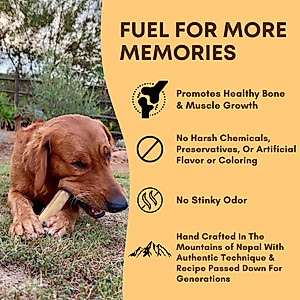 Back 40 Dogs Himalayan Yak Cheese Dog Chews – Long-Lasting Natural Chews for Aggressive Chewers – 2-Ingredient, High Protein, Odorless, Dental Health Treats for Dogs (Large, 4 Pack)