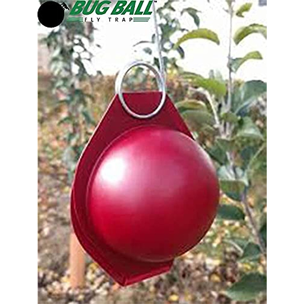 Bug Ball (25 Pack) Apple Maggot Trap Starter Kit - with NO Pesticides, Made in the USA