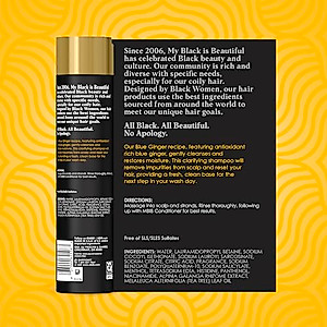 My Black is Beautiful Clarifying Sulfate Free Shampoo for Build Up, For Dry and Damaged Hair, Blue Ginger and Mint, 9.6 fl oz