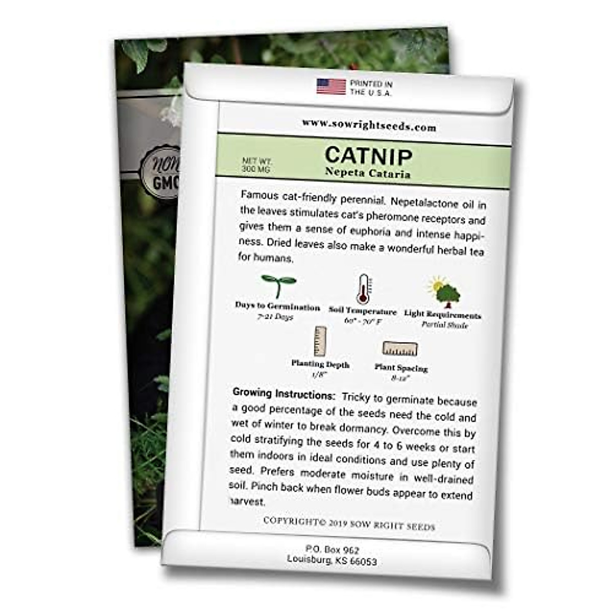 Sow Right Seeds - Catnip Seed for Planting - Popular Herb for Happy Cats - Non-GMO Heirloom Packet with Instructions to Plant and Grow - A Gift for The Cat Lover - Perennial Herb Indoors (1)