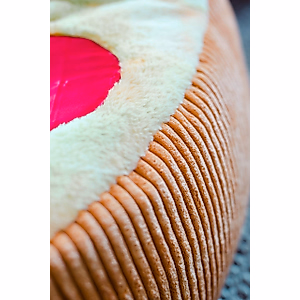 Soft Landing | Bestie Beanbags | Pizza Character Beanbags