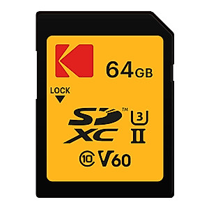 Panasonic LUMIX FZ2500 4K Point and Shoot Camera with 64GB USH-II V60 SD Card and Koah Roebling Gadget Bag with Accessory Bundle (3 Items)