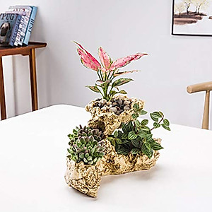 DOITOOL Tabletop Ornament Flowerpot Resin Clay Pot Cactus Desktop Flowerpot