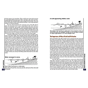 Surf Survival: The Surfer's Health Handbook