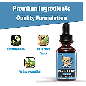 Winnie & Lottie Cat Calming Drops | Cat Anxiety Relief | Calm Cat | Anxiety Relief for Cats | Cat Calming | Cat Calming Supplement | Cat Anxiety | Cat Stress Relief | 1 fl oz | Roast Chicken Flavor