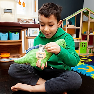 Maison Chic Plush Tooth Fairy Pillow for Little Boys and Girls About to Loose a Tooth (Dinosaur, Danny)