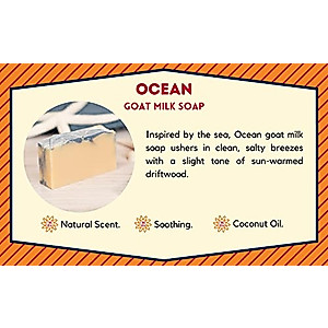 Goat Milk Stuff Goat Milk Soap - OCEAN SOAP | Handmade All-Natural, Goat Milk Soap Bars for Dry Skin Relief, Body & Face Wash for Men and Women, Bar Soap (Box of 2)