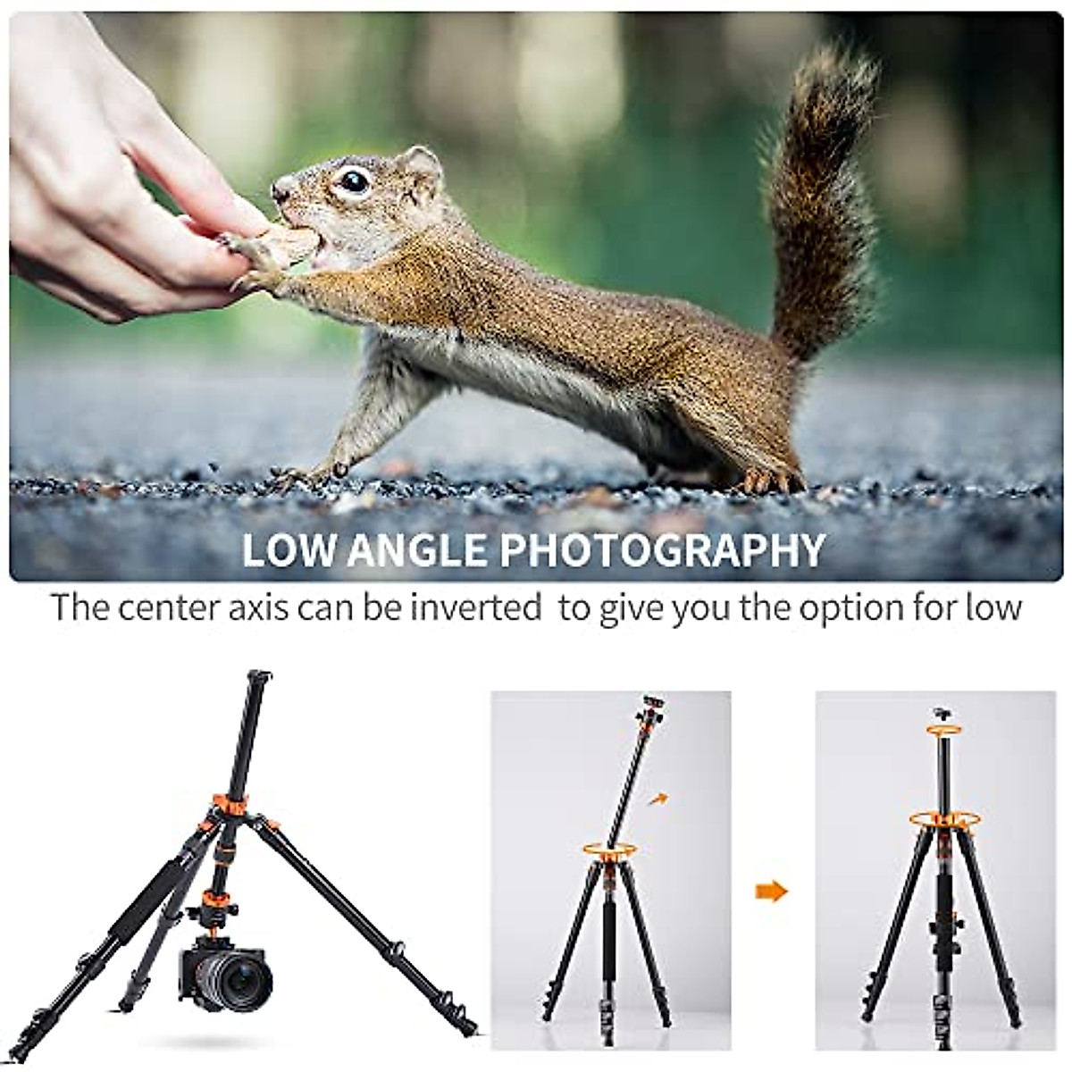 K&F Concept 78 inch Camera Tripod for DSLR Compact Aluminum Tripod with 360 Degree Ball Head and 10KG Load for Travel and Work K234A7+BH-28L (S210)