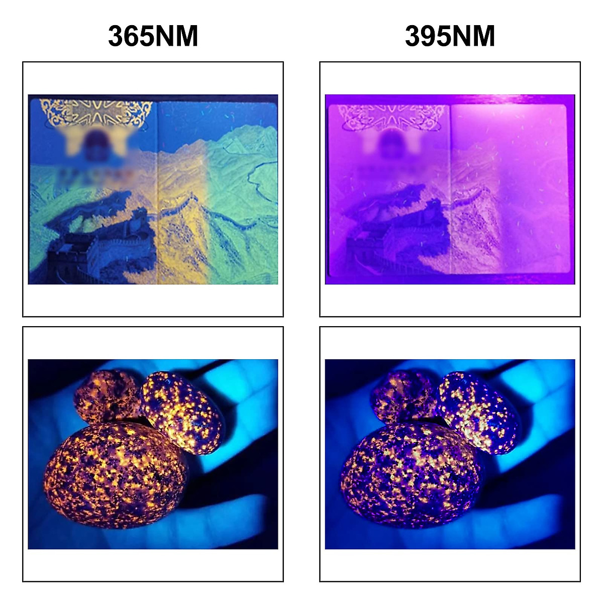 EOWCO UV Flashlight 365nm & 395nm, Ultraviolet Black Light Flashlights, Handheld Zoomable Blacklight Torch Wood's Lamp, Detector for Pet Urine Dry Stains, Resin Curing, Rocks, Scorpions Finder