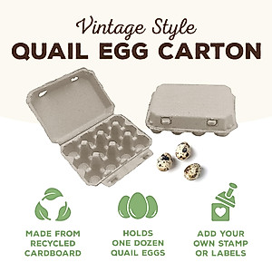 Henlay Quail Egg Cartons - Recycled Cardboard Paper Pulp 3x4 Square Style - Holds One Dozen Eggs (30)