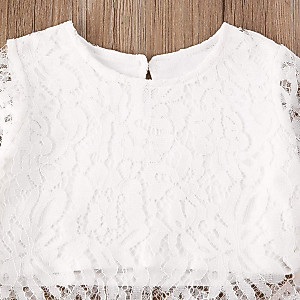 Goelsakurara 2PCS Kids Baby Girl Lace Hollow T-Shirt Tops+Tutu Skirt Toddler Ruffle Layers Dresses Outfits Birthday Party Pink, 3-4T