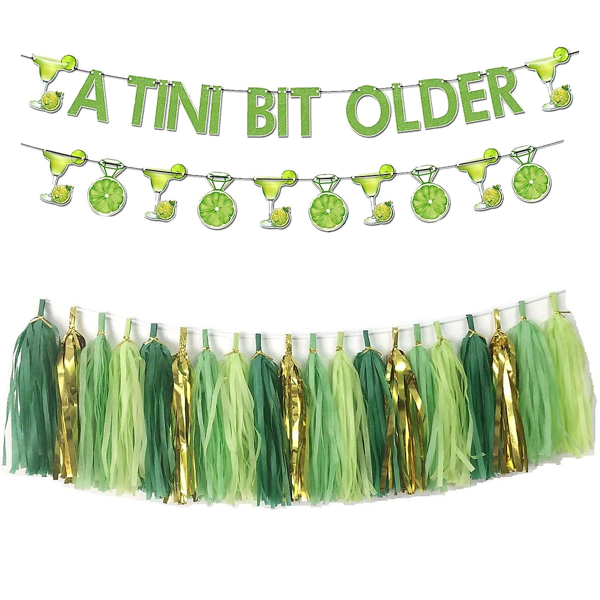 A Tini Bit Older Birthday Decor Banner, a Tiny Bit Older Martini Themed Party Decorations Party Supplies Banners and Tassel Garland