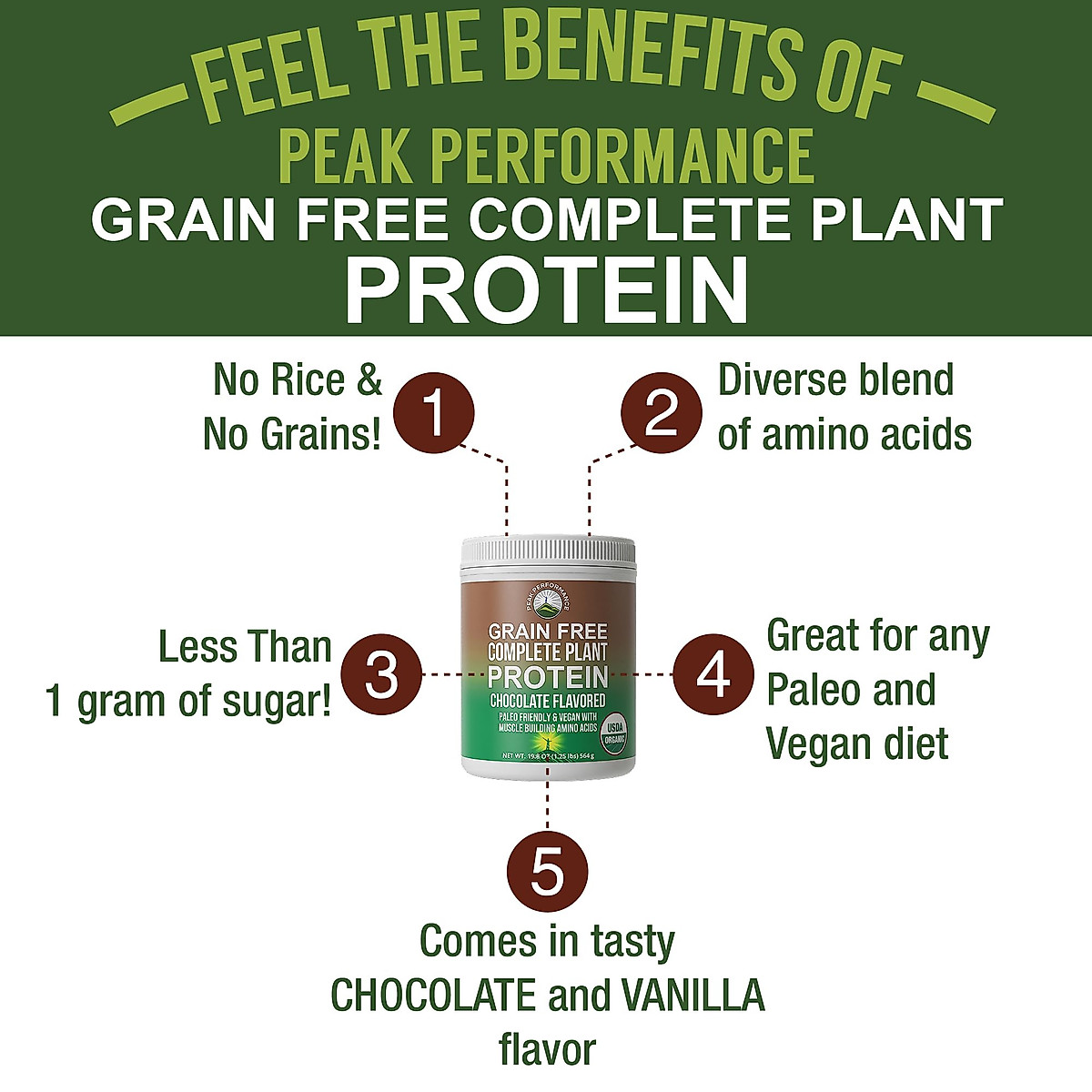 Organic Paleo Grain Free Plant Based Raw Vegan Protein Powder. Amazing Amino Acid Profile and Less Than 1g of Sugar. with Hemp and Pea Protein Chocolate Flavored
