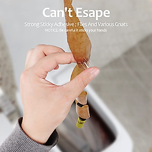 Fly Traps for Indoors Outdoor, Fly Paper Strips Sticky Hanging, Fruit Fly Strips,Fly Tape Catcher Ribbon, Fruit Fly Gnat Trap Killer Fly Traps for Inside Home(35 Pack)