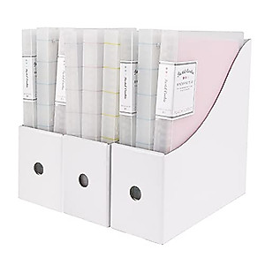 Limitliho White Magazine Holder(2Pack), Magazine File Holder for Home, Office, Desk, 10.6'' H×10.2'' L ×3.5''W Magazine Storage Box