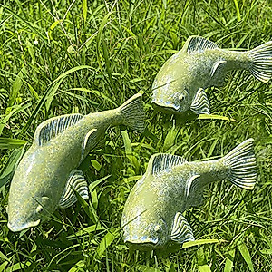 Mayuta 3 Pcs Koi Fish Decor,Garden Sculptures & Statues,Garden Art,Fish Sculpture for Outdoors, Patio, Yard, Lawn, Garden Pond and Home Decoration(Green Grey)