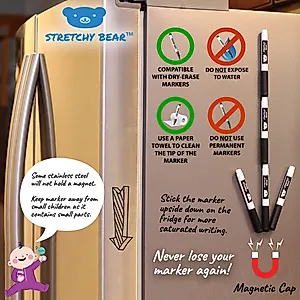 Stretchy Bear Reusable Baby Bottle Labels for Daycare, 6 Pcs (Blue) | 9 Color Options