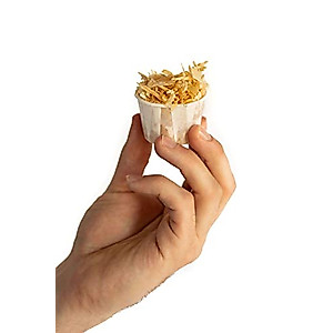 Superior Trading Fire Starter Pods in Travel Packs - Fire Starters for Campfires, BBQ, Grill, Pit, Wood Stove & Charcoal Starter, 15-20-Min Burn, 40 Extra Large Pods, USA Made, Brown, 3.5 Lbs