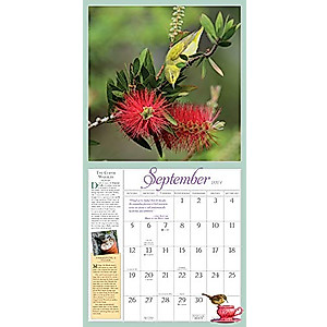 Audubon Birds in the Garden Wall Calendar 2021