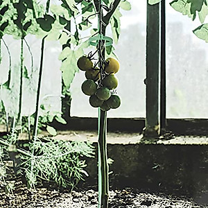 12 Inch Plant Support Stakes, with Adjustable Retaining Ring Green Plant Sticks Support Stakes for Indoor and Outdoor Plants,Flowers,Climbing(10Pcs)