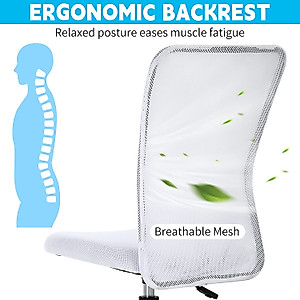 Armless Office Chair Ergonomic Desk Chair No Arms Mesh Computer Chair Adjustable Height Task Chair Rolling Swivel Chair Small Chair Executive Chair with Lumbar Support, White