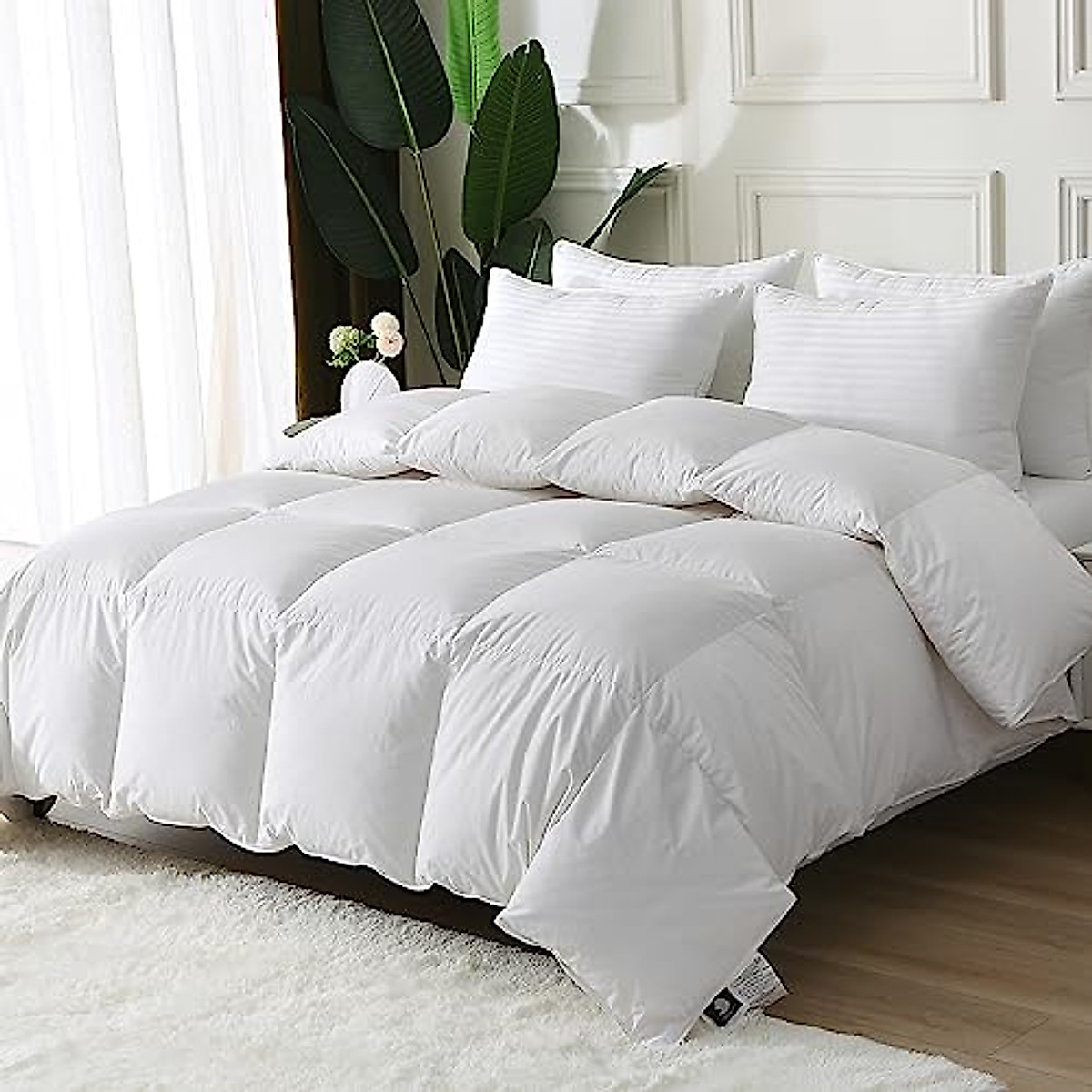 BPC Queen Size Down Comforter - Goose Duck All Season Down Comforter with Filling Down and Feather and Cotton Cover - Duvet Insert or Stand-Alone Down Comforter