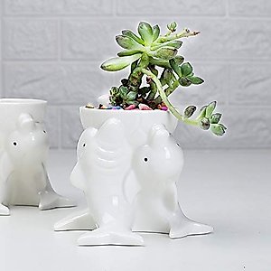 Zamtac Nordic Style Simple Indoor Outdoor Gardening Creative Succulent Plant Pots Dolphins White Ceramic Pots Desktop Potted Ornaments