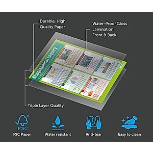 Geographical Inquiry Classroom Poster - EXTRA LARGE 33” x 23.5” - Laminated - Geography Middle & High School Class Decoration - Wall Charts by Daydream Eduaction.