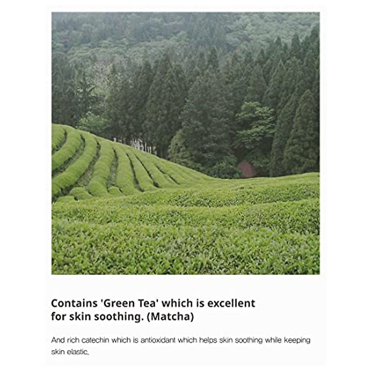 B_LAB Matcha Hydrating Real Sun Screen 50ml