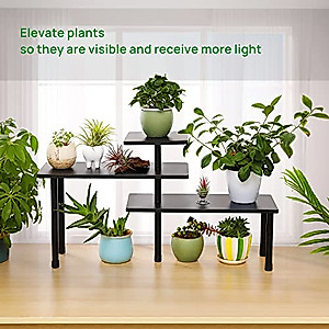 Ollieroo Kitchen Counter Shelf Organizer, 3 Tier Corner Shelf Bamboo Bathroom Countertop Organizer with Hooks, Space Saving Makeup Organizer Spice Rack Corner Plant Shelf