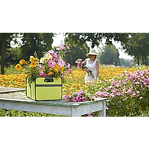 meori Hibiscus Red/Dots Foldable Box Large wipeable Solid Space-Saving Outdoor Lake Beach Weekend Shopping Transport Storage, 1-Pack