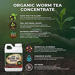 Worm Tea for Gardening Soil - Worm Tea Fertilizer Liquid - Worm Castings, Earthworm Casting Manure Fertilizer - Earthworm Tea Worm Castings - PetraTools Worm Casting Concentrate (8 Oz)