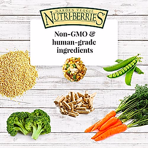 LAFEBER'S Garden Veggie Nutri-Berries Pet Bird Food, Made with Non-GMO and Human-Grade Ingredients, for Parrots, 3 lb