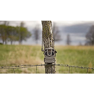 TACTACAM Reveal X Gen 2.0 LTE Cellular Trail Camera AT&T and Verizon, HD Video, HD Photo, Low Glow IR LED Flash (TA-TC-XG2) for Hunting, Security, Surveillance Gen 2 (3) Gen 2.0 + Solar Combo