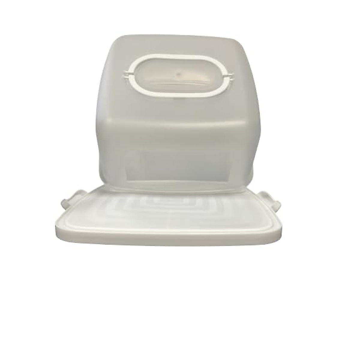 St@llion Plastic Large Square Cake Carrier with Lid Carry Handle and Easy Locking, Storage Container Lockable, Christmas Cookie Box, Trick-or-Treat 35 cm x 15 cm (Pack of 2)