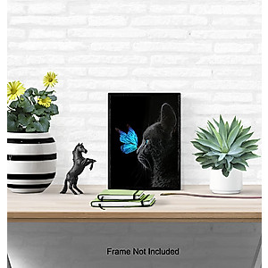 Cat Wall Decor - Butterfly Wall Decor - Blue Butterfly - Black Cat - Cat Gifts for Women - Cute Cat Poster - Cat Posters for Girls Bedroom - Cat Lover Gifts - Cat Wall Art - Butterfly Wall Art