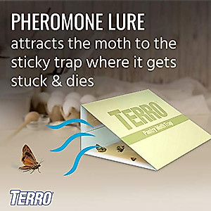 TERRO T2900 2-Pack Pantry Moth Traps - Traps grain moths, flour moths, meal moths, and seed moths