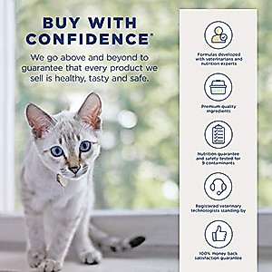 Natural Balance Limited Ingredient Diet Salmon & Chickpea Indoor Adult Cat Grain-Free Dry Cat Food 10-lb. Bag