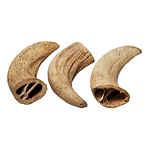 Rozie’s Naturals Water Buffalo Horn Core- Inner Component of Buffalo Horn, Durable Chew, Great Alternative to Raw-Hide & Hard Antler Dog Chew, Large -2 Pack, 10 oz