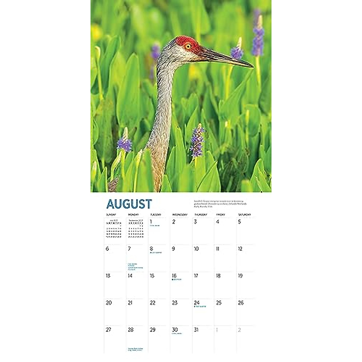 Audubon Nature Wall Calendar 2023: A Year of Breathtaking Vistas