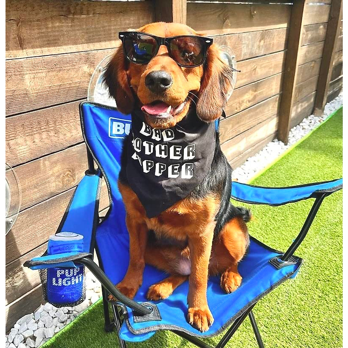 Nestpark Pup Light and Pups Blue Rubbin - Funny Dog Toys - Plush Squeaky Dog Toys for Medium, Small and Large - Cute Dog Gifts for Dog Birthday - Cool Stuffed Parody Dog Toys (2 Pack) (Mix)